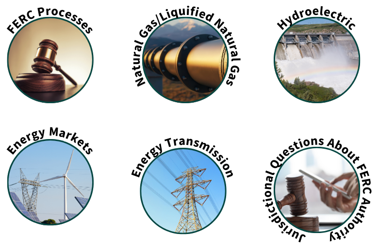 Office of Public Participation 2025 Annual Report | Federal Energy ...